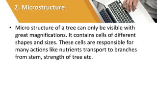 Wood structure as a Building material | PPTX