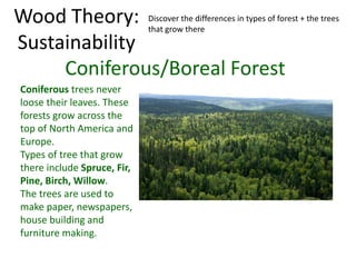 Wood Theory - Sustainability | PPTX