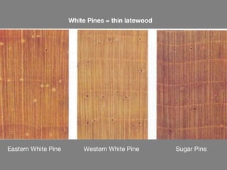woodtypes-120404173147-phpapp02.pdf