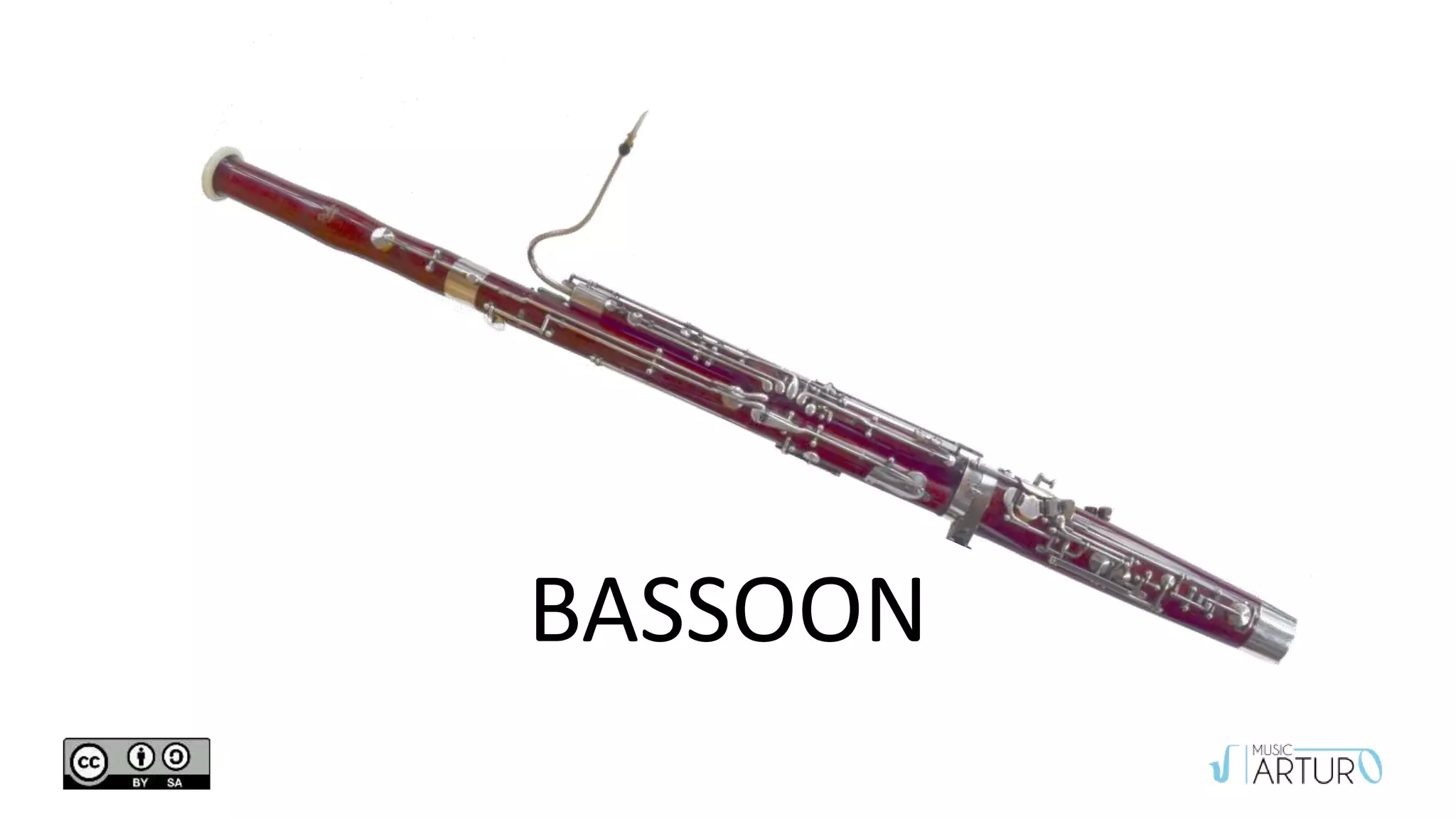 Woodwind instruments | PPTX