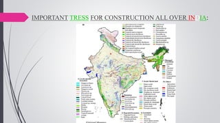 WOOD & WOODEN PRODUCT and its uses and also the types of wooden ...