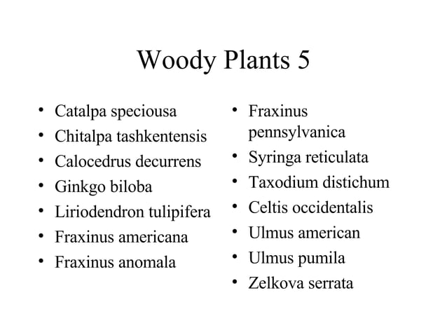 Woody Plants Group 5 | PPT