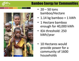 Bamboo for Energy in the Global South | PPT