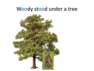 Woody woodchuck | PPTX