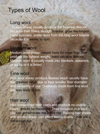Wool. | PPTX