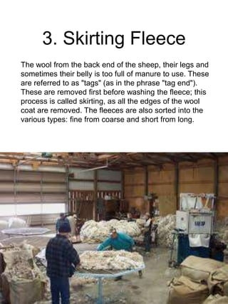 Wool. | PPTX