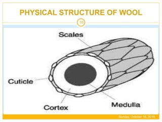 Protein Fiber (Wool) | PPTX