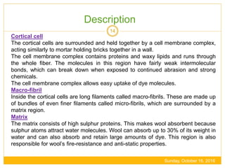 Protein Fiber (Wool) | PPTX