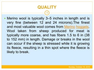 Protein Fiber (Wool) | PPTX