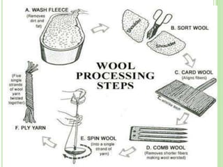 Wool ppt | PPTX