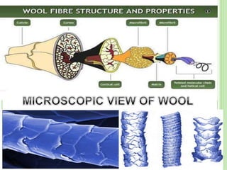 Wool ppt | PPTX