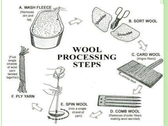 Wool ppt