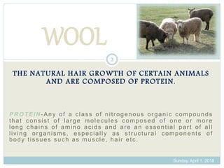 Wool | PPT