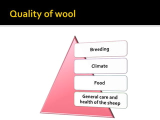 Wool | PPT