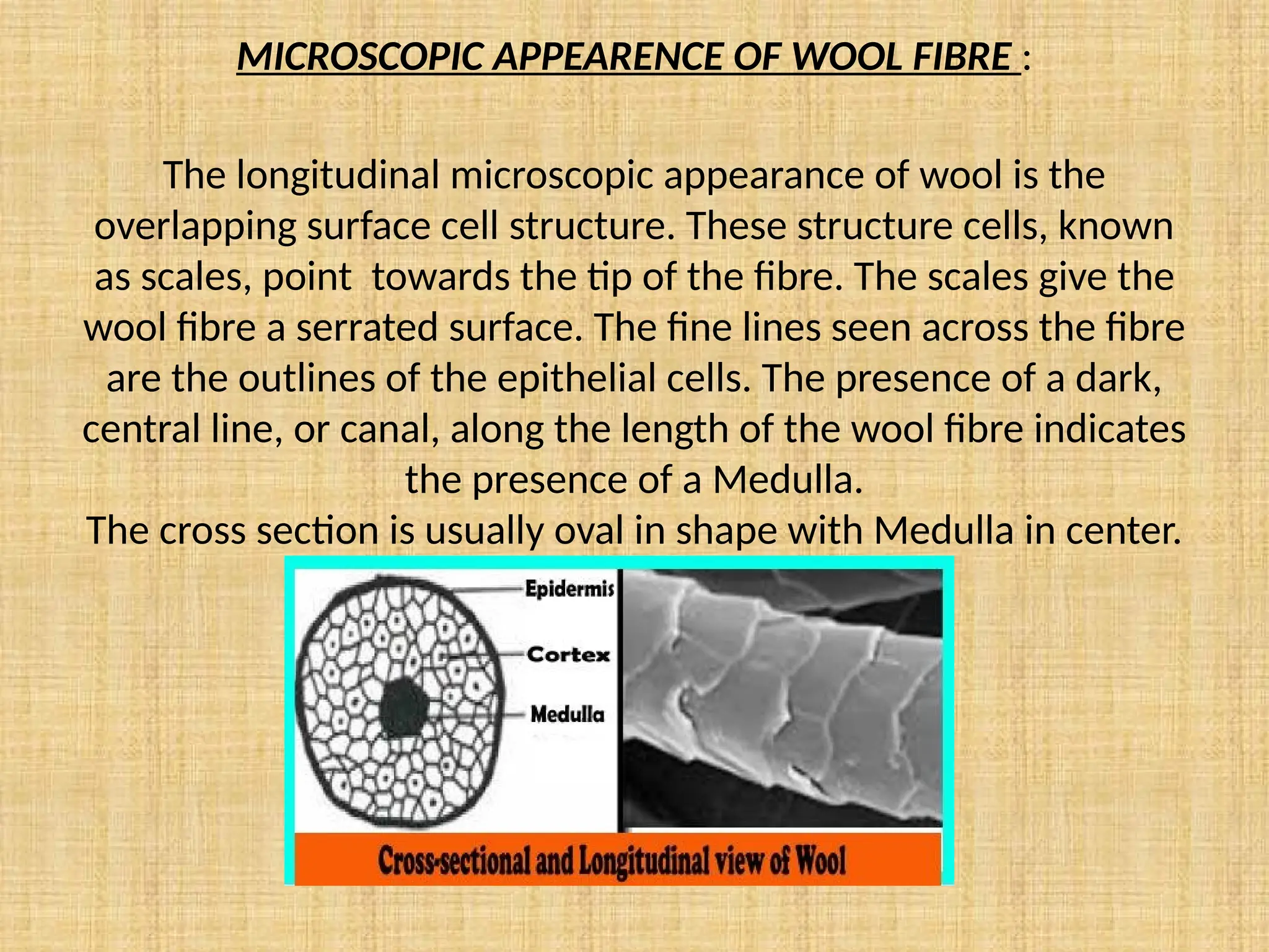 Wool and their structure, morphology and components property | PPTX