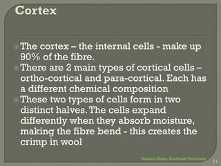 Wool fiber | PPT