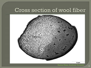 Wool fiber | PPTX