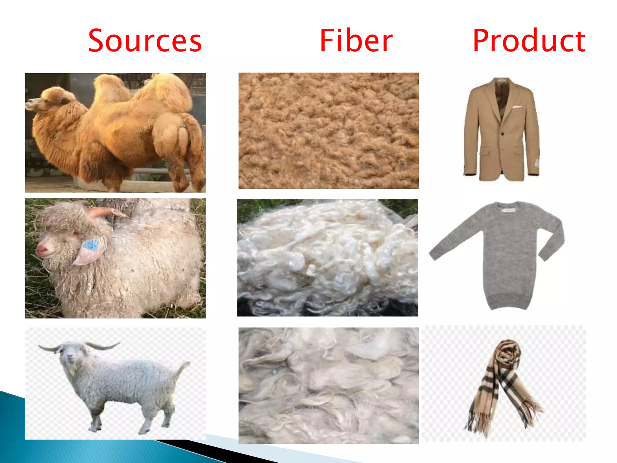 Wool fibre | PPTX