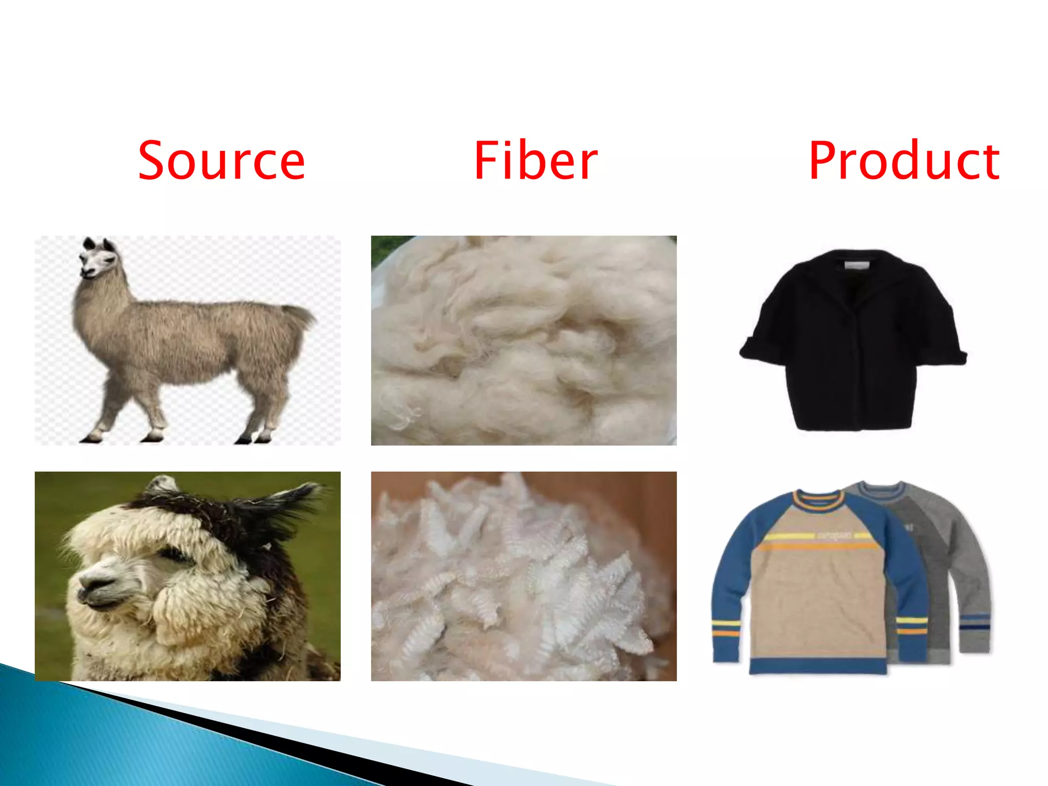Wool fibre | PPTX