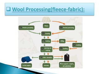 Wool fibre | PPTX