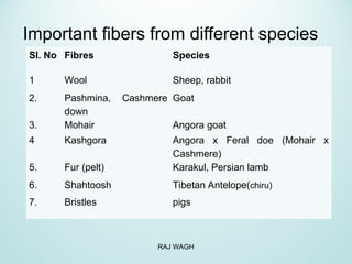 The Wool Introduction along with details | PPT