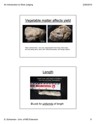 Wool Judging | PDF