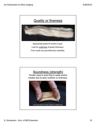Wool Judging | PDF