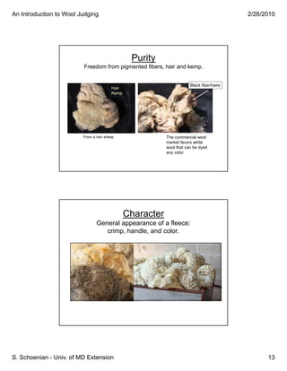 Wool Judging | PDF