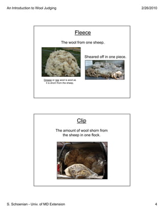 Wool Judging | PDF