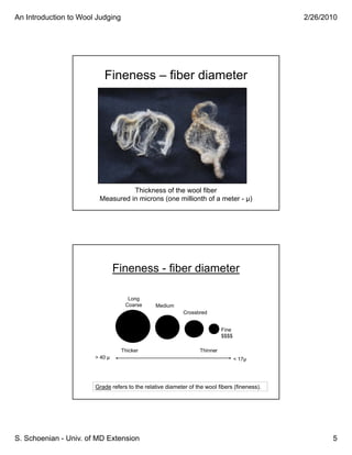 Wool Judging | PDF