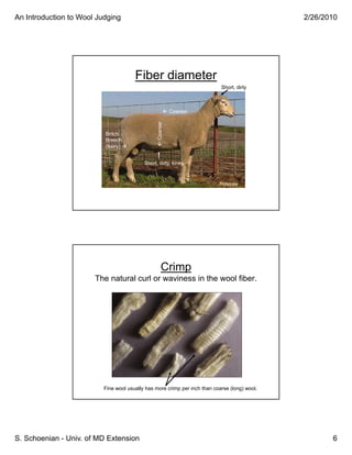 Wool Judging | PDF