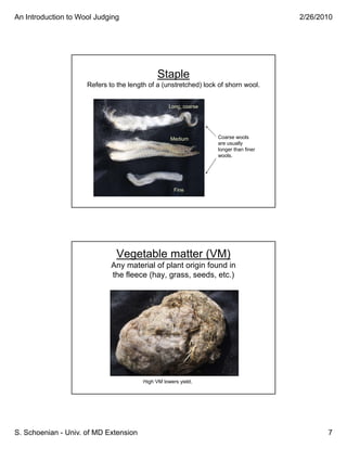 Wool Judging | PDF