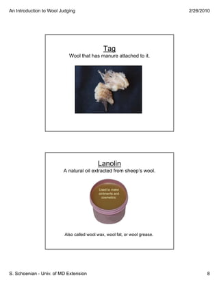 Wool Judging | PDF