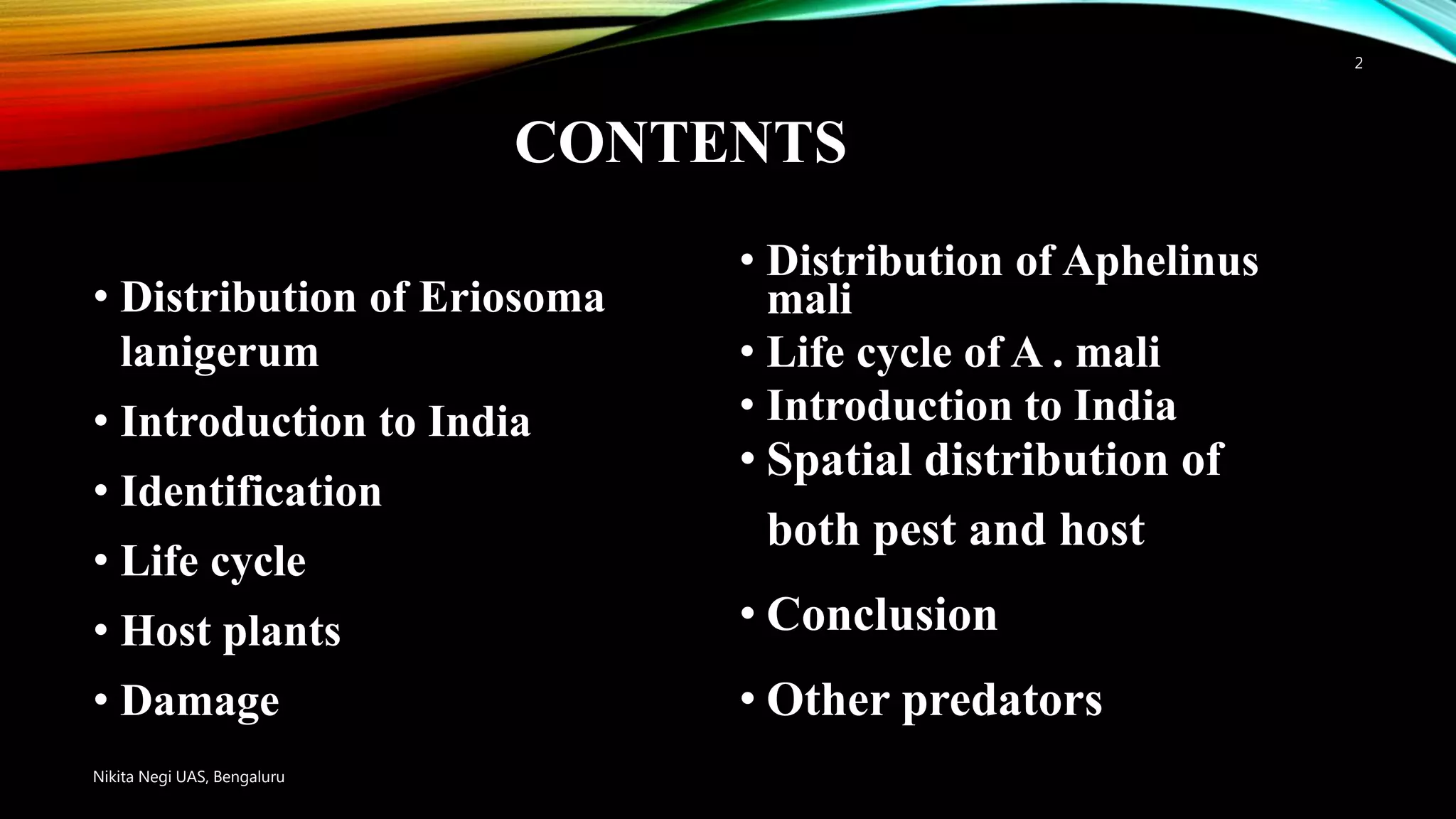 Woolly apple aphid | PPTX