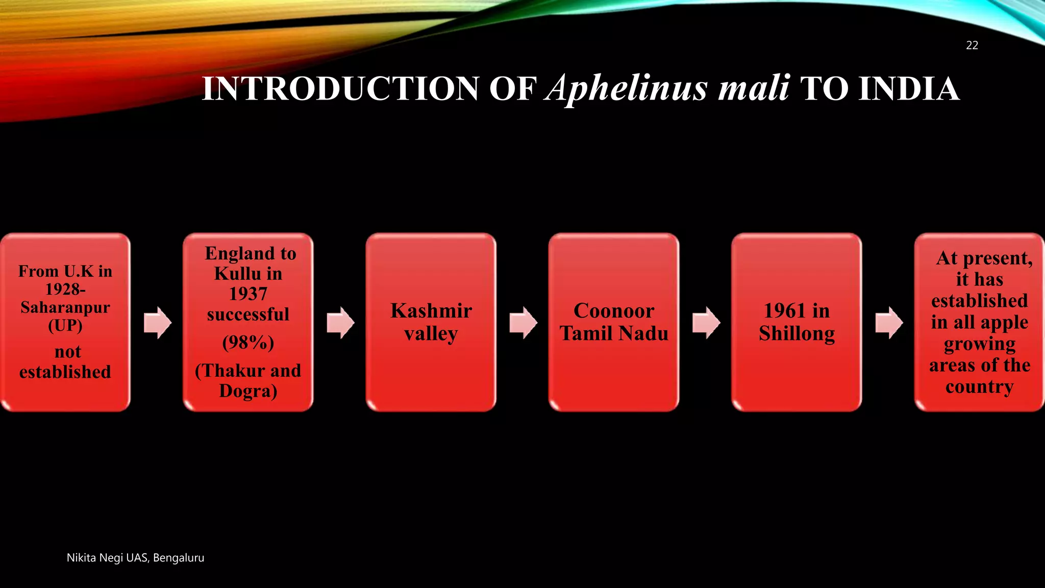 Woolly apple aphid | PPTX
