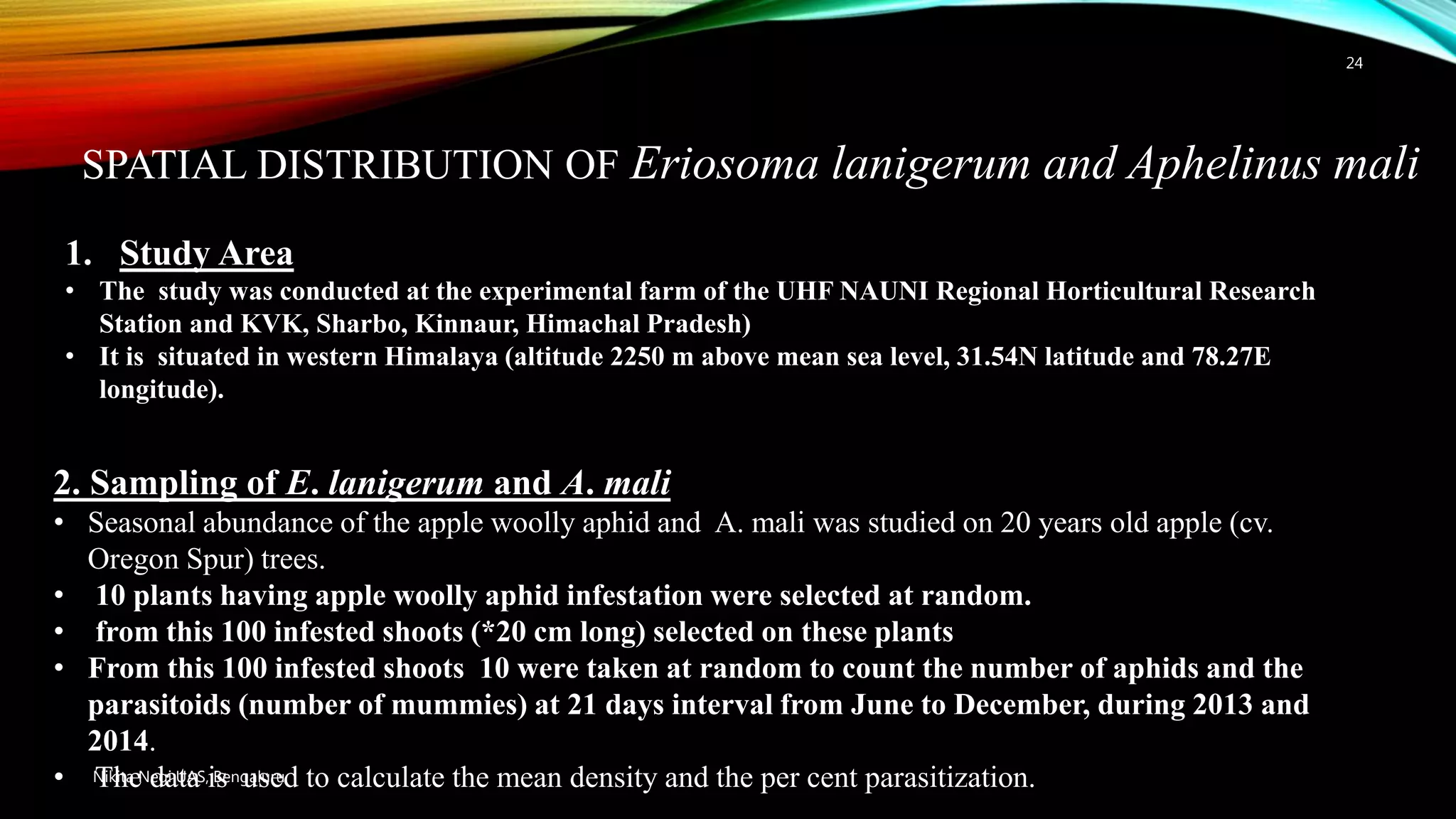 Woolly apple aphid | PPTX