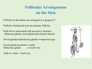 development of wool | PPTX