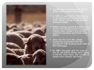 Woolpresentation | PPT