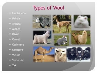 Woolpresentation | PPT
