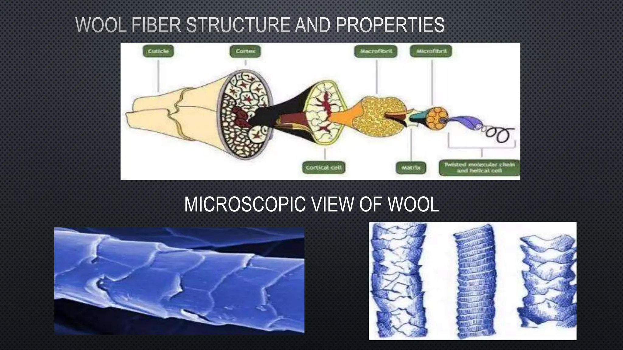 wool presentation.pptx