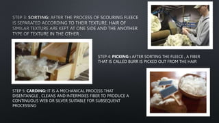 wool presentation.pptx