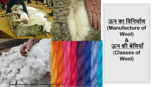 Animal Fiber:: Wool | PPT