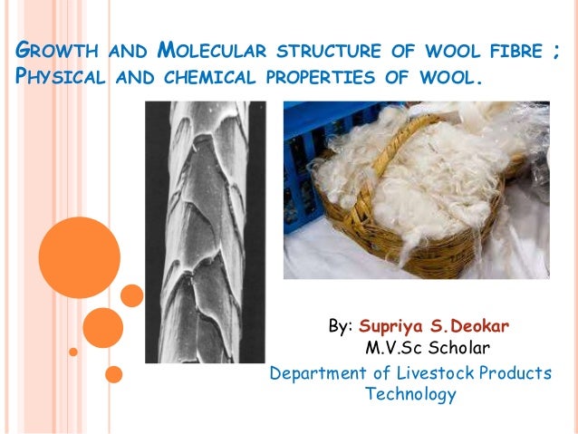 Wool Fibre