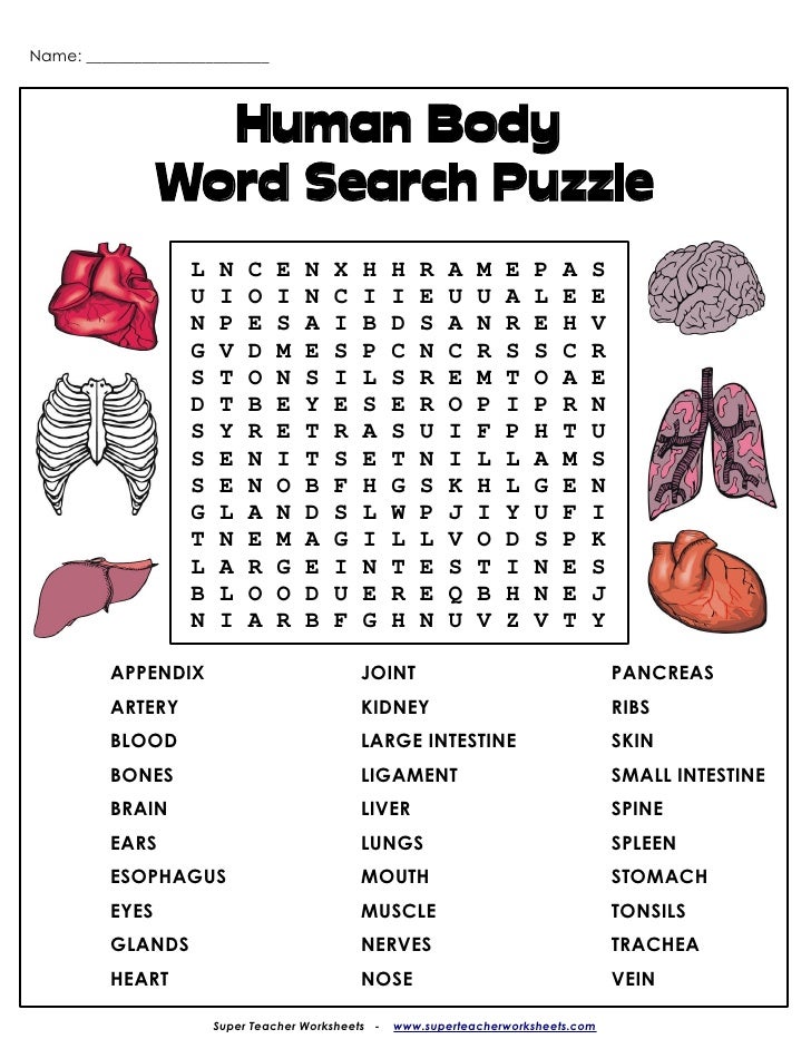 Word Search human body Word Search human body