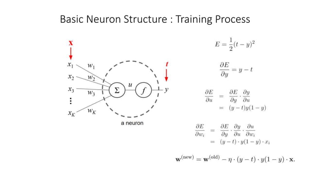 Word2Vec Network Structure Explained | PPT