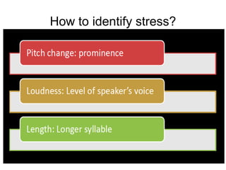 Word and Sentence Stress | PPT