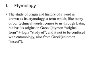 Word and word formation process | PPTX