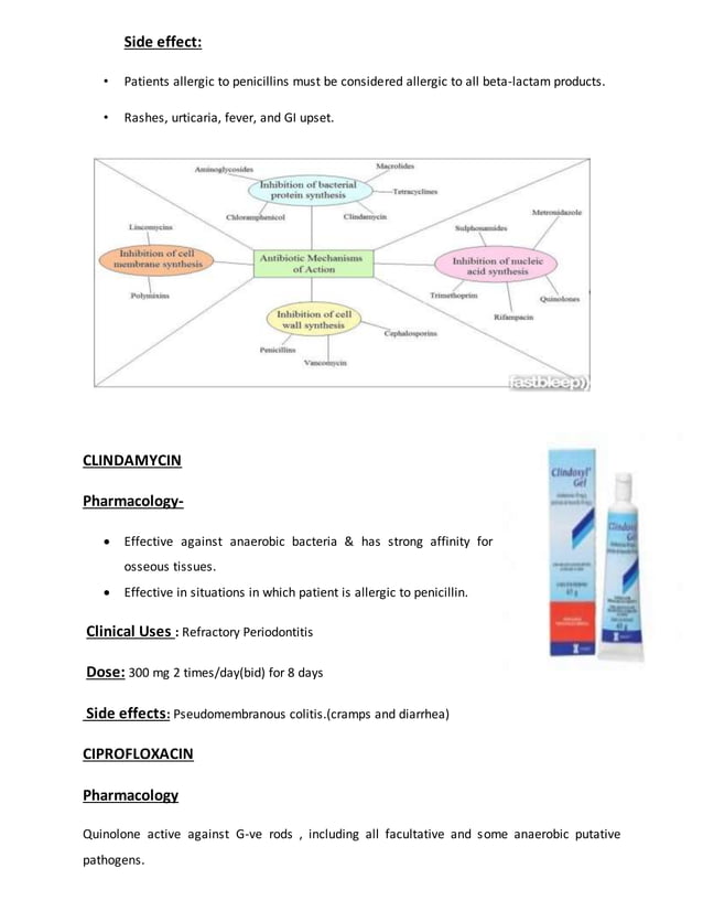 Word anti infective therapy | DOCX
