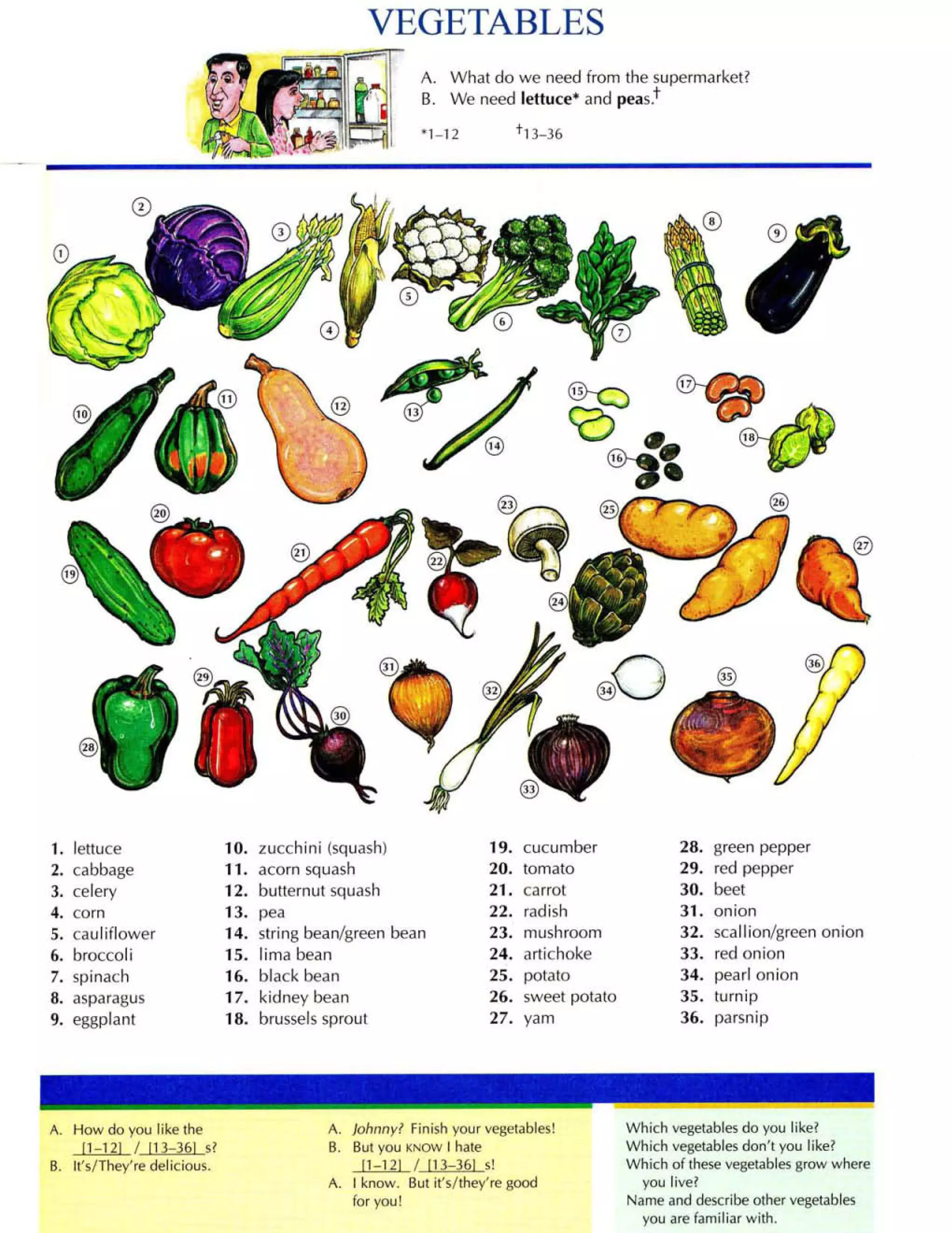 Word by word picture dictionary | PDF