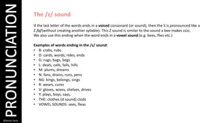 phonatics Course Consnants Word Endings.pdf